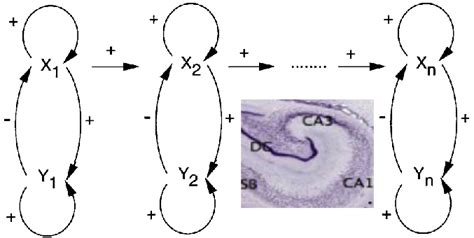 Scheme Of A Sequential Modular Structure Made Of A Chain Of Negative