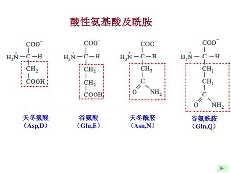 谷氨酰天冬氨酸结构式天冬氨酸结构式 伤感说说吧