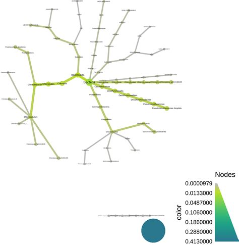Analyzing The Genomic And Taxonomic Composition Of An Environmental Genome Using GTDB And Sample