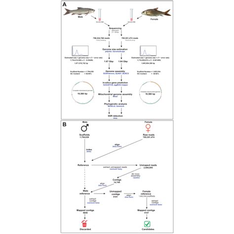 An Overview Of The Experimental Design And Bioinformatics Analysis Download Scientific Diagram