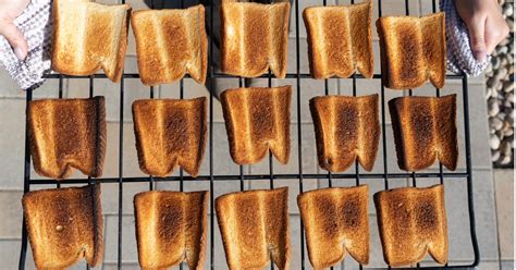 Cant Get An Even Bake This ‘toast Test Can Help Reviews By Wirecutter