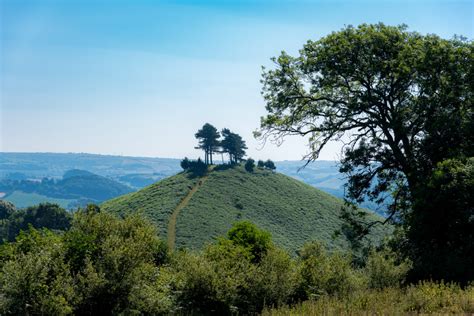 Colmers Hill Walk Artofit