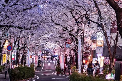 Hiroo Area Guide Best Things To Do And See In Hiroo
