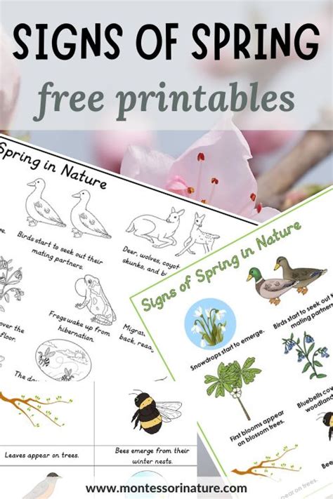 Free Printable Signs Of Spring Download Free Printable Signs Of Spring
