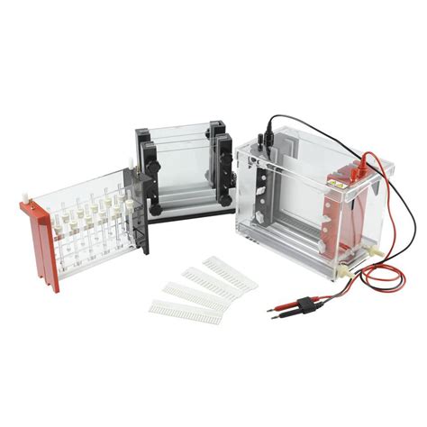 Gel Electrophoresis System With Power Supply Gel Electrophoresis Cell