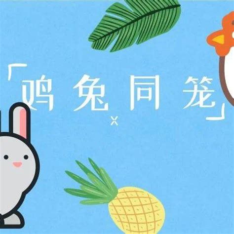 鸡兔同笼例题 种讲解方法快来看看 兔子 分析 假设
