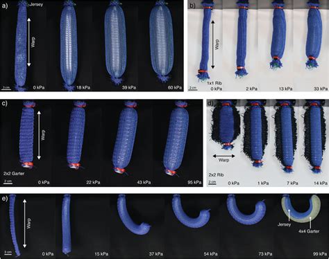 Actuators Exhibiting Motion Primitives Extension Contraction And Download Scientific Diagram
