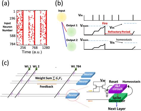 A Raster Plot Of Input Pulses Encoded Temporally B Dynamics Of Download Scientific Diagram