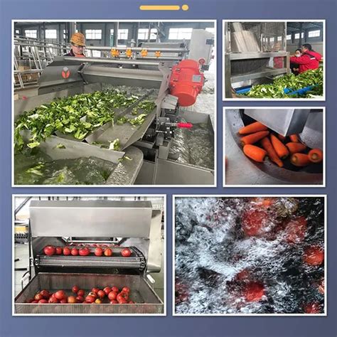 Tca Automatic Production Line Of Frozen Vegetables Fruit And Vegetable