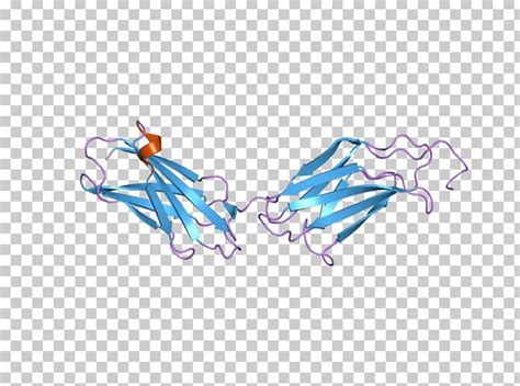 Fibronectin Integrin Glycoprotein Extracellular Matrix Png Clipart Angle Art Binding Domain
