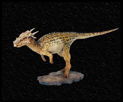 Dracorex Pictures And Facts The Dinosaur Database