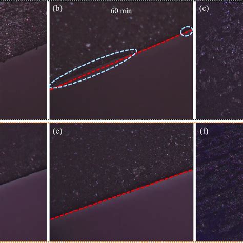 Comsol Models Of The Electric Current Density Distributions For The A