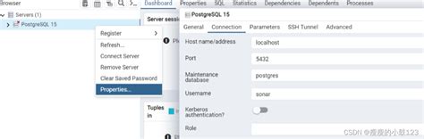 Windows下配置sonarqube10代码扫描步骤详情windows Sonarqube Sqlserversonarqube