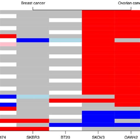 Mutual Expression Differences Of Mirna Types In The Comparison Of Download Scientific Diagram