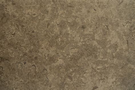 Catreen Dark Nile Sons