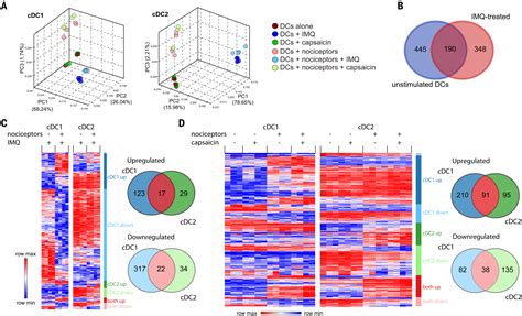 Multimodal Control Of Dendritic Cell Functions By Nociceptors Science
