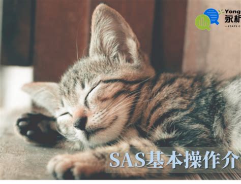 集群分析cluster Analysis 統計說明與spss操作 永析統計及論文諮詢顧問