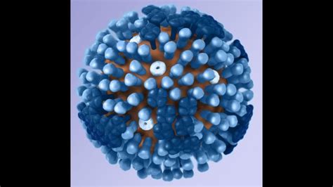 Flu Under The Microscope Cnn