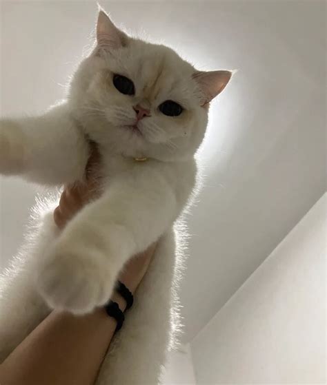 Cecily Cecily98621 • Instagram Photos And Videos