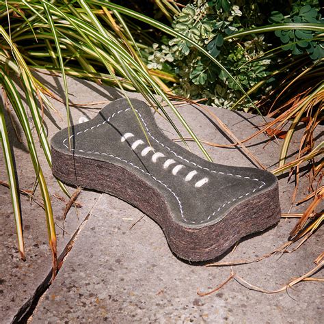 Green Bone Paw And Co