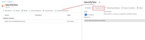how to issue a certificate authorize it and import the private key to