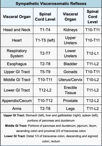 Sympathetic Viscerosomatic Reflex Flashcards Quizlet