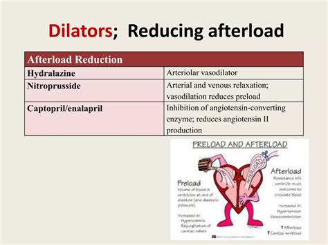 Congestive Heart Failure Revised Pptx