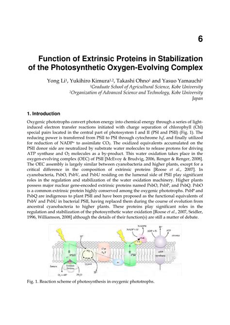 Pdf Function Of Extrinsic Proteins In Stabilization Of The