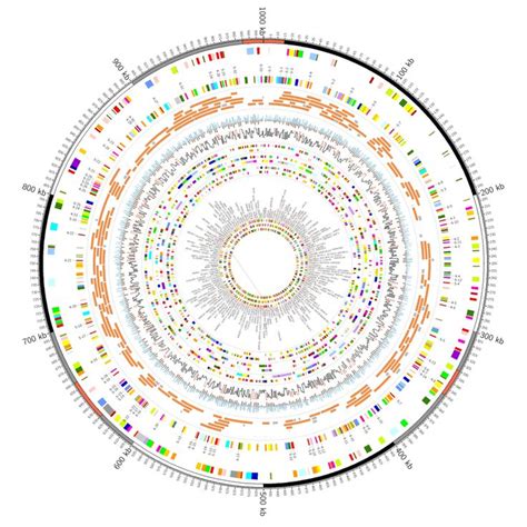 Data Visualization Visualisation Data