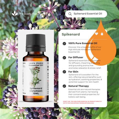 Buy 10ml Spikenard 100 Pure Essential Oil The Bodhi Press