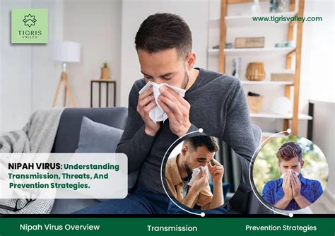 Nipah Virus Understanding Transmission Prevention Strategies