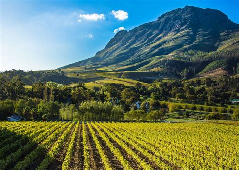 Visit Stellenbosch On A Trip To South Africa Audley Travel
