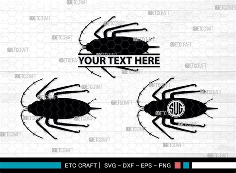 Cockroach Monogram Cockroach Silhouette Cockroach Svg Cockroach Bug