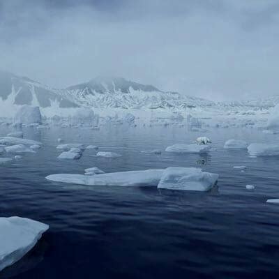 Polar Ice Pack 3d Model By Raffyraffy