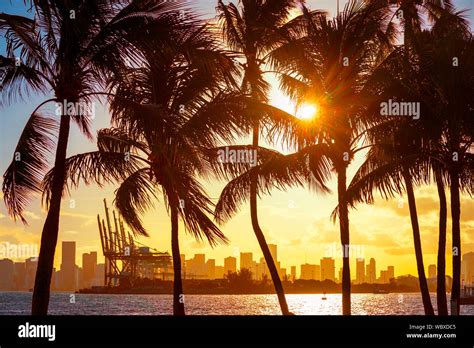 Scenic Sunset View Of The City Skyline On Biscayne Bay In Miami