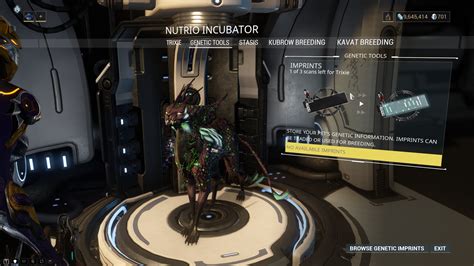 Confusing Text When Attempting To Create An Imprint With No Available