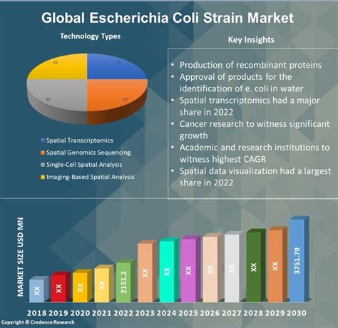 Escherichia Coli Strain Market Size Growth And Forecast 2030