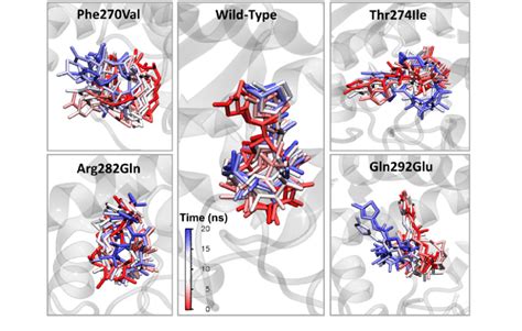 Protein Superimposed Structures Of Epothilone B Tubulin Complexes With