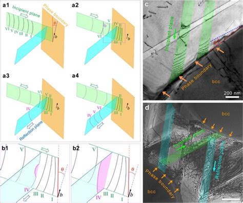 Full Article Dislocation Array Reflection Enhances Strain Hardening Of