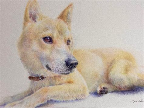 Original Drawn By Ooy Danbooru