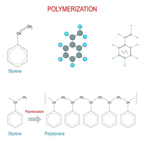 Monomers And Polymers Definition Chemical Properties And Differences