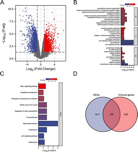 Differentially Expressed Immune Genes In Osteosarcoma A Volcanic Map