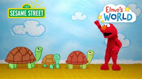 Elmo Learns About Turtles Elmos World Chords And Tabs