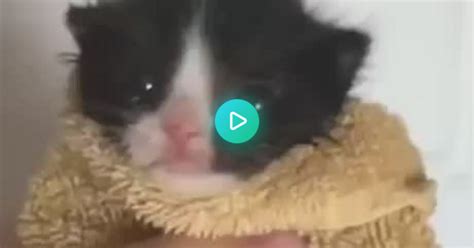 I Feel This Has Fallen Out Of Rotation It Always Makes Me Smile Album On Imgur