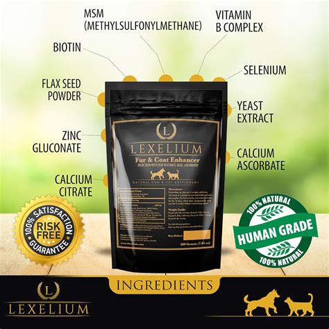 Lexelium Dermatitis Supplement Promotes Healthy Skin And Fur Helps