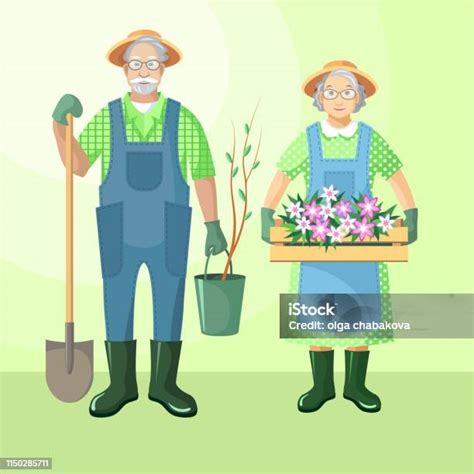 Bahçede Yaşlı Adam Ve Yaşlı Bayan Ile Yaz Vektör Illüstrasyon Bahçe