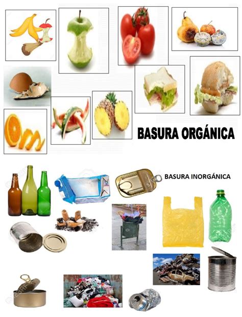 Basura Organica E Inorganica Pdf