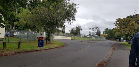 39 Reviews Of Mount Roskill Primary School School In Auckland Auckland