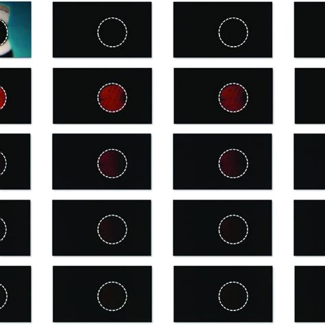 Visualized Quantitative Ecl Detection Of Control Assay For Detection Of