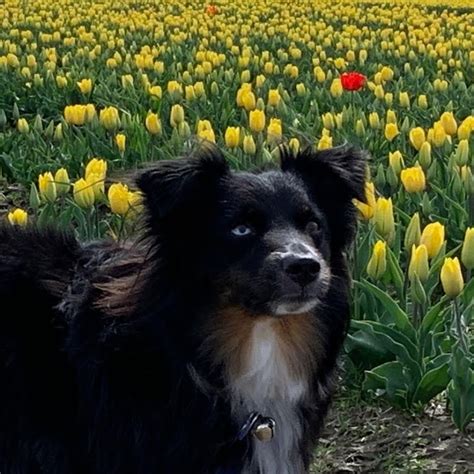 Emily Jane Bryden Youtube